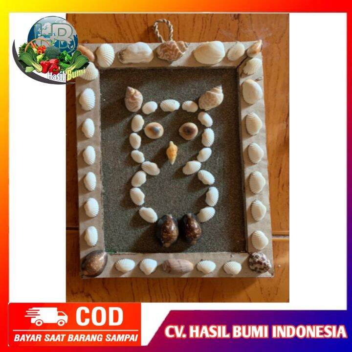 Kerajinan Figura cangkang kerang motif burung hantu prakarya sekolah ...