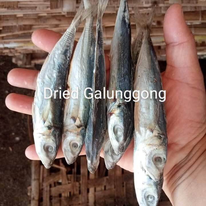 GALUNGGONG TUYO 1/2 KILO | Lazada PH
