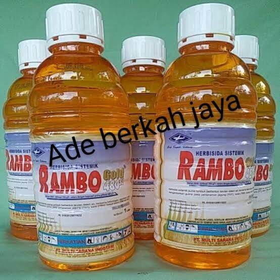RAMBO GOLD 480 SL 500 ML HERBISIDA PEMBASMI RUMPUT GULMA | Lazada Indonesia