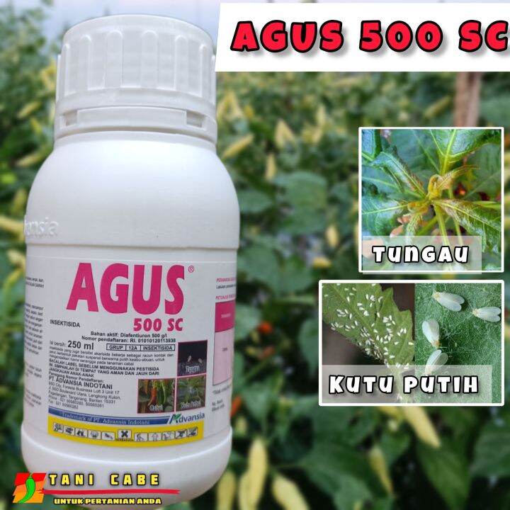 INSEKTISIDA AGUS 500 SC BASMI HAMA KUTU PUTIH | Lazada Indonesia