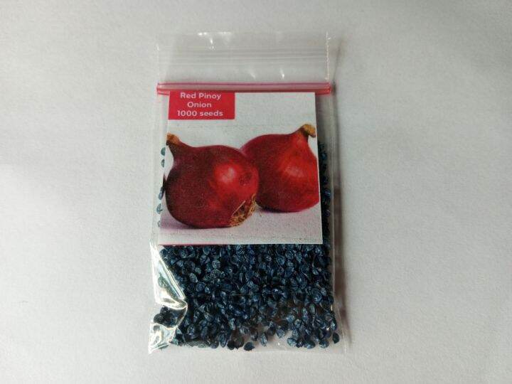 1000 SEEDS RED PINOY ONION SEEDS REPACKED / SIBUYAS / VEGETABLE SEEDS ...