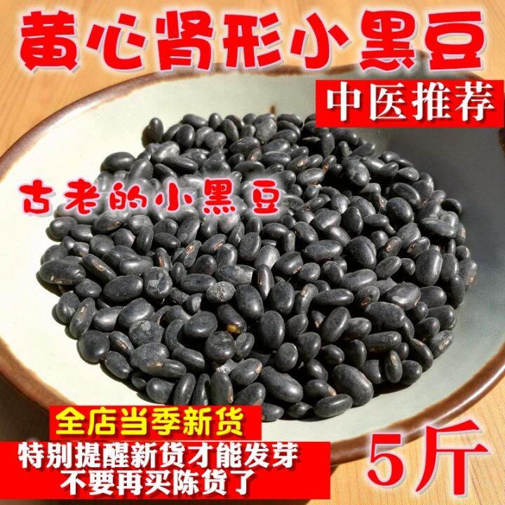 Yellow Core Kidney Shape Black Beans 0.50kg Farm Self-Produced 5 Non-GM ...