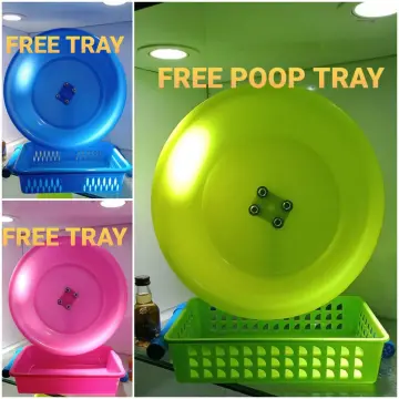 Hedgehog Poop On Wheel