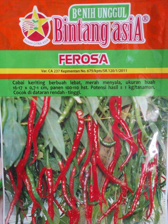 Benih Cabe kriting FEROSA BintangAsia | Lazada Indonesia