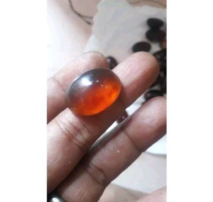 batu getah katilayu natural, mengapung di air asli | Lazada Indonesia