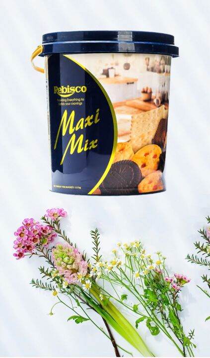 Rebisco Maxi mix | Lazada PH