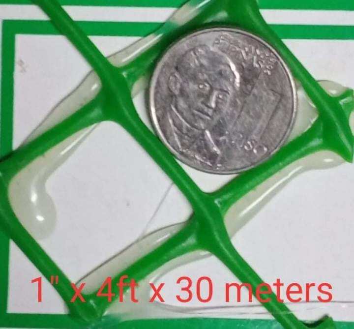 Plastic screen Green pvc NET Chicken Screen 1 inch butas x 4ft taas ...