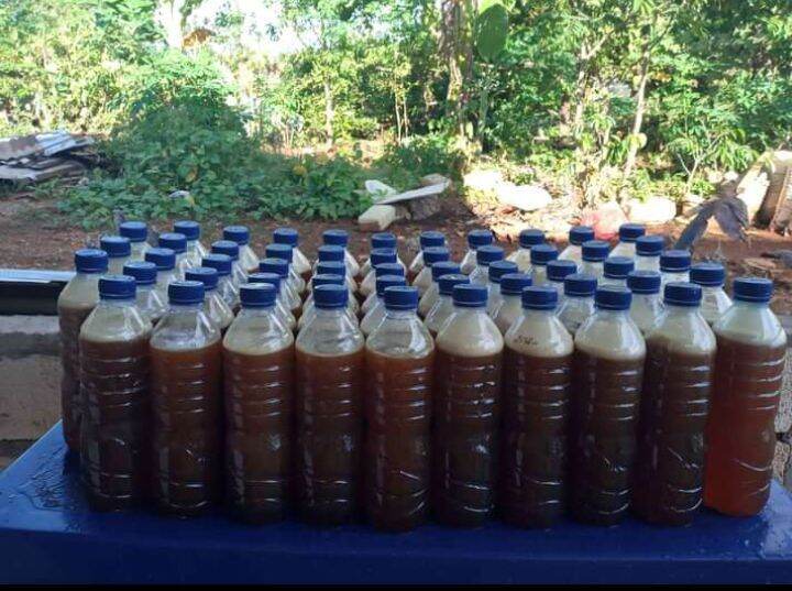 madu hutan asli Kupang NTT | Lazada Indonesia