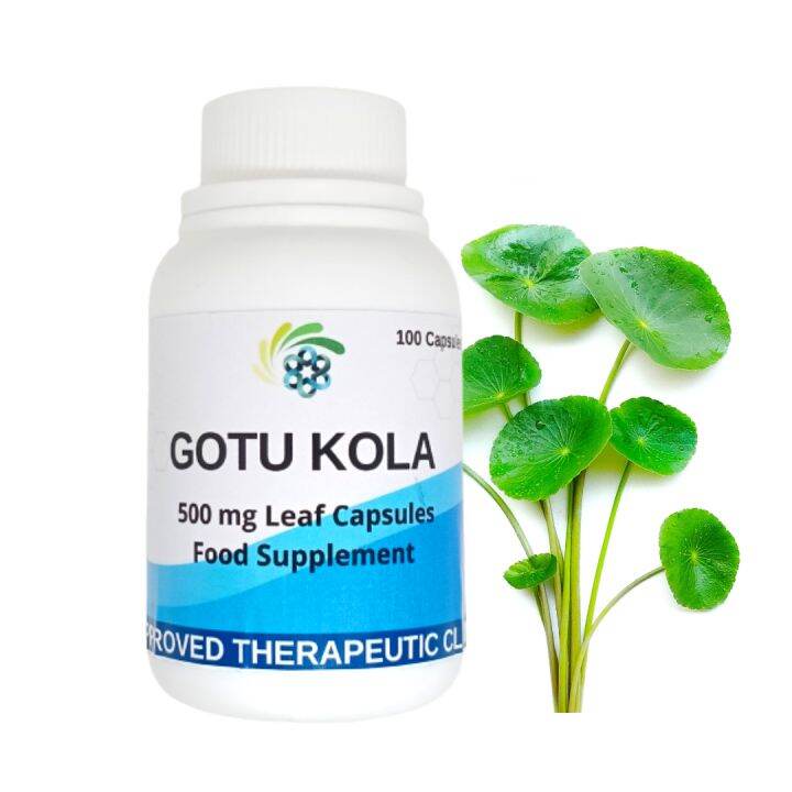 Herbal Options Gotu Kola Capsule 500mg for Brain and Memory Booster ...