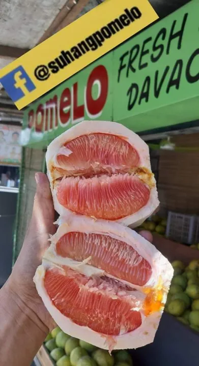 Pomelo Davao Sweet and Juicy | Lazada PH