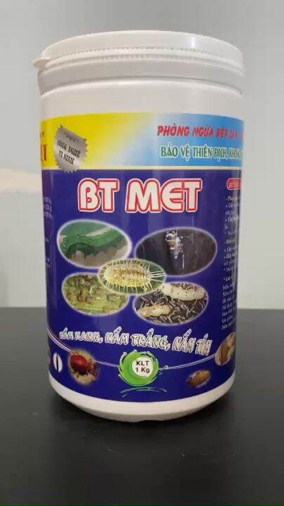 Nấm 3 màu Ký sinh Sâu, Rầy, Rệp, Côn Trùng Gây Hại Cây Trồng - BT MET ...