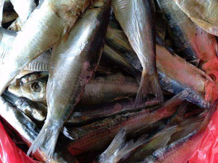 tuyo from bisaya tuyo negros SOLD PER KILO | Lazada PH