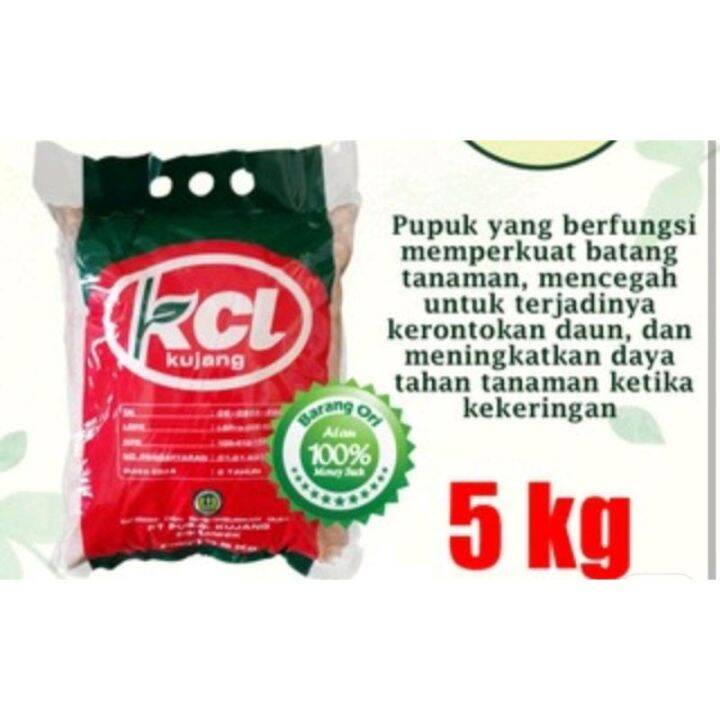Pupuk KCL Kujang Kemasan 5Kg | Lazada Indonesia