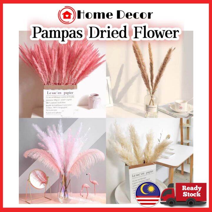 HomeDecorMY FREE BOX Pampas Dried Flower Bulrush Natural Dried Long ...