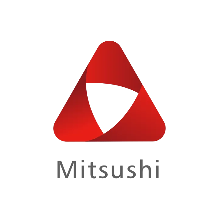 Mitsushi Cordless Drill Driver 12V Double-Speed with 2 Li-ion Batteries ...