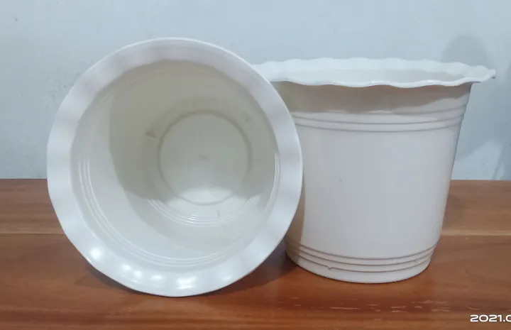 6 pcs white BB pots for plants code #260 8x7 inches | Lazada PH