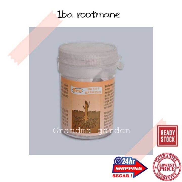 (GG) iba rootmane ^ hormon penggalak akar rooting powder kualiti ...