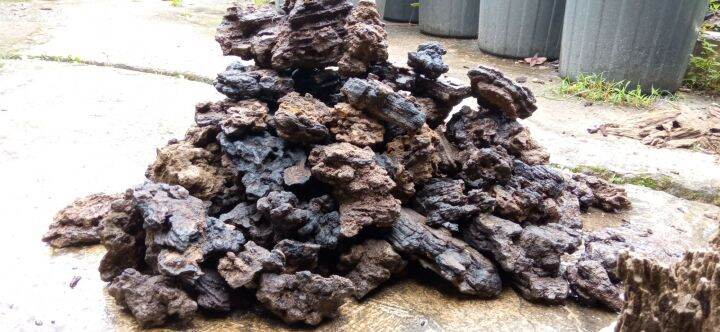 Batu besi aquascape 1 kg | Lazada Indonesia