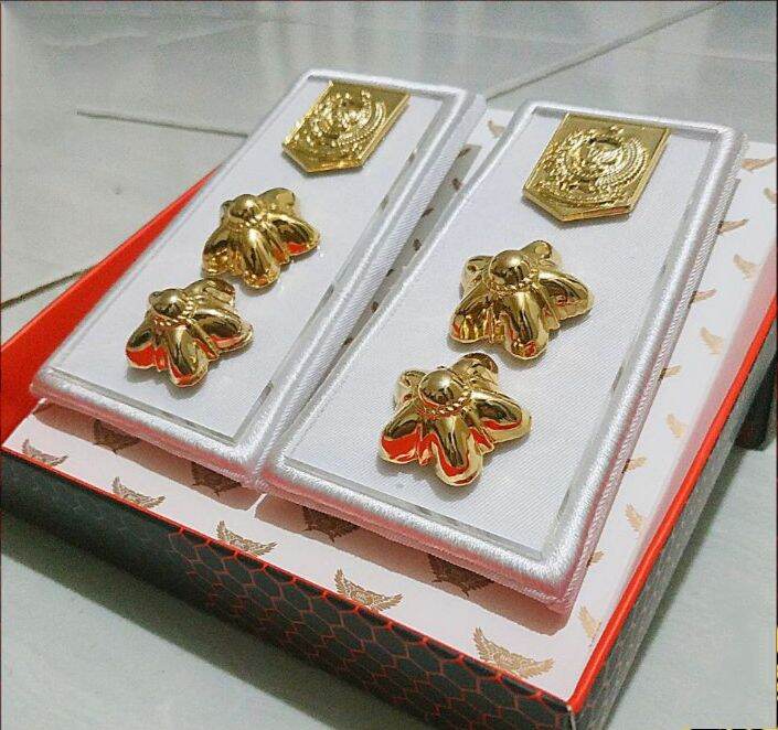 pangkat pdh kades lurah logo kemendagri dasar putih mika kilaf bening ...