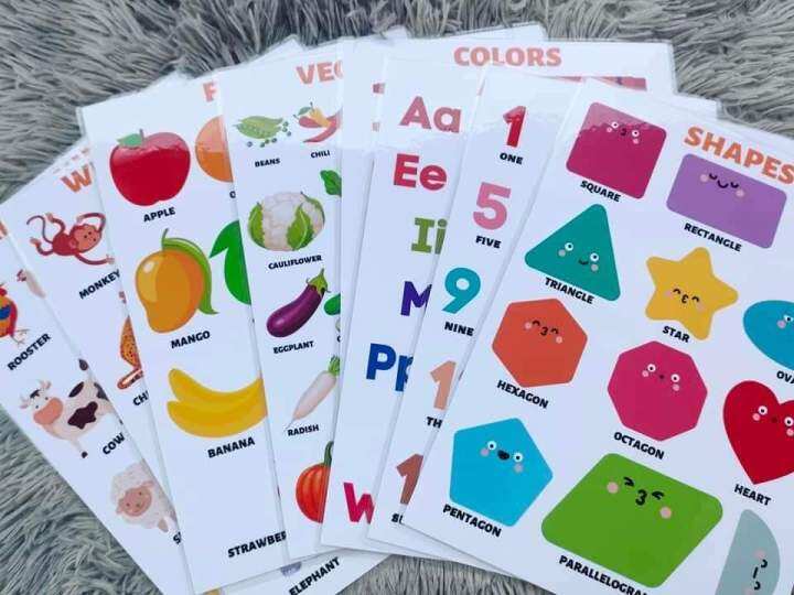 Laminated Educational Charts (A4 size) | Lazada PH