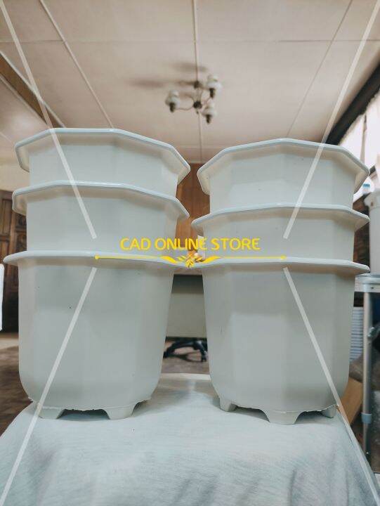 6 pcs Decagon pots for plants plastic na paso 7 x 6 inches | Lazada PH