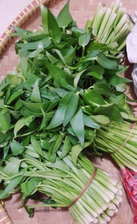 Daun eceng sawah sayuran eceng segar 500 gram | Lazada Indonesia