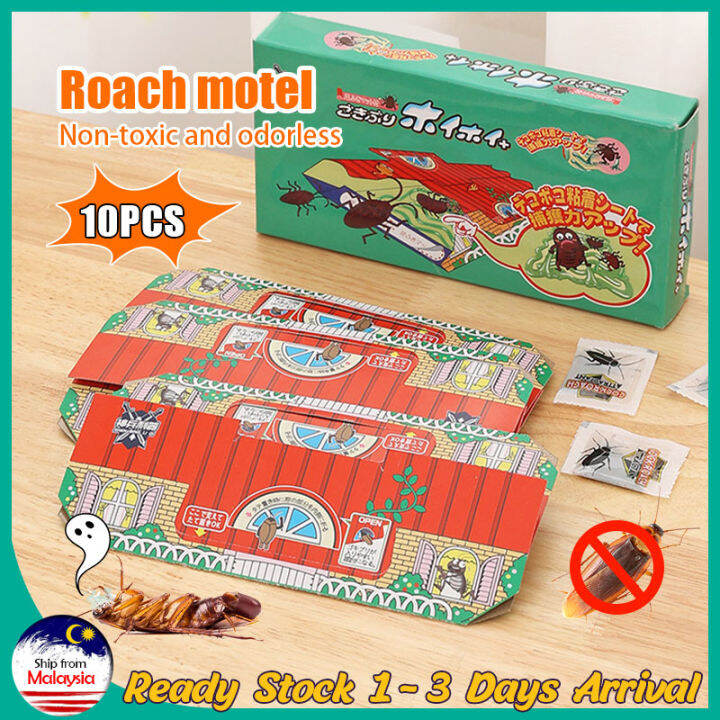 10PCS Cockroach Killer Lizards Trap Insect Trap Ubat Semut Insect ...