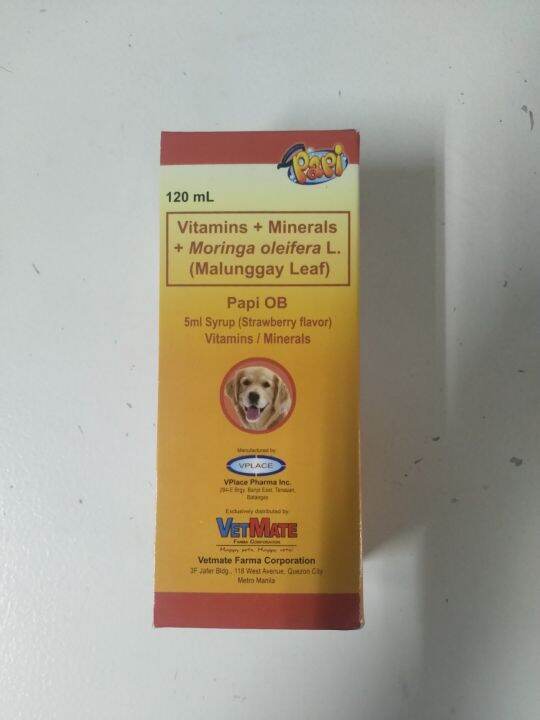 New Packaging Papi OB Syrup 120mL Vitamins + Minerals | Lazada PH