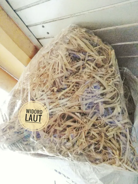 bidara laut serut kering 1kg widoro laut serut 1kg | Lazada Indonesia