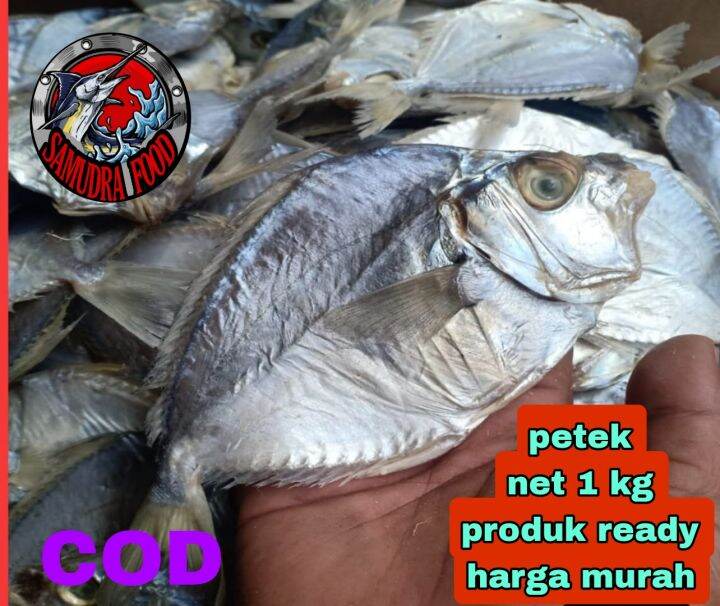 ikan asin petek 1 kg | Lazada Indonesia