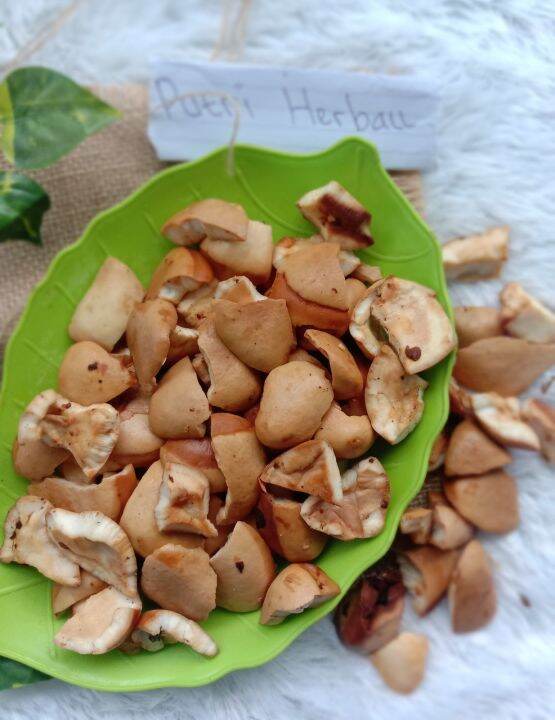 BUAH PICUNG / KLUWEK / KEPAYANG SEGAR PER 500 GRAM | Lazada Indonesia