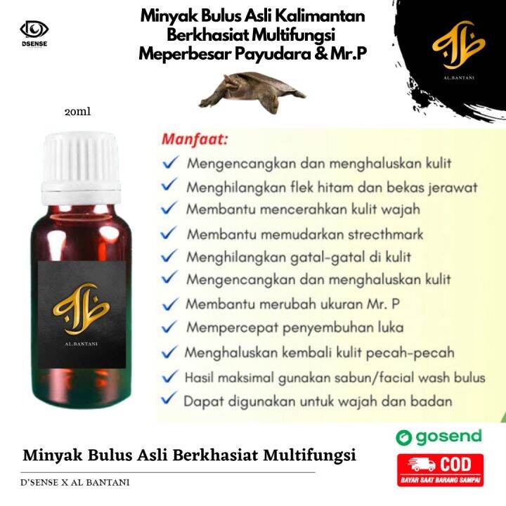 Minyak Bulus Asli Berkhasiat | Lazada Indonesia