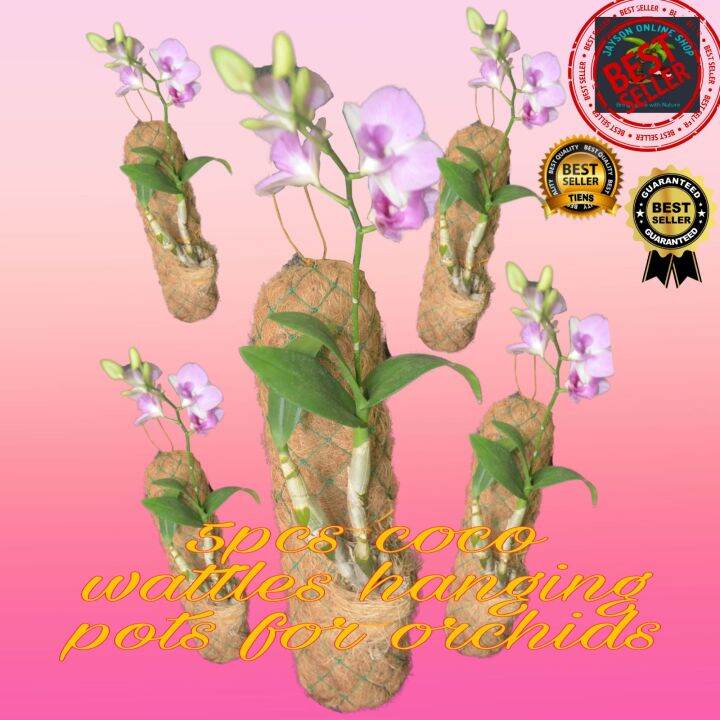 {🥰👍 Buy 5pcs 30cm Coco Wattles/mini logs Get 100g. Fiber freebies 👍🥰 ...