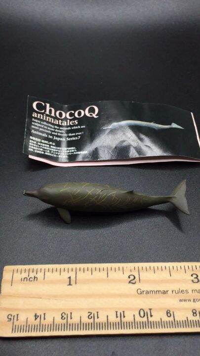 ฟิกเกอร์ โมเดลสัตว์ ปลาจิ๋ว วาฬ น่ารัก Kaiyodo Animatales Chocoq Choco Q Series 7 Baird’s Beaked ...