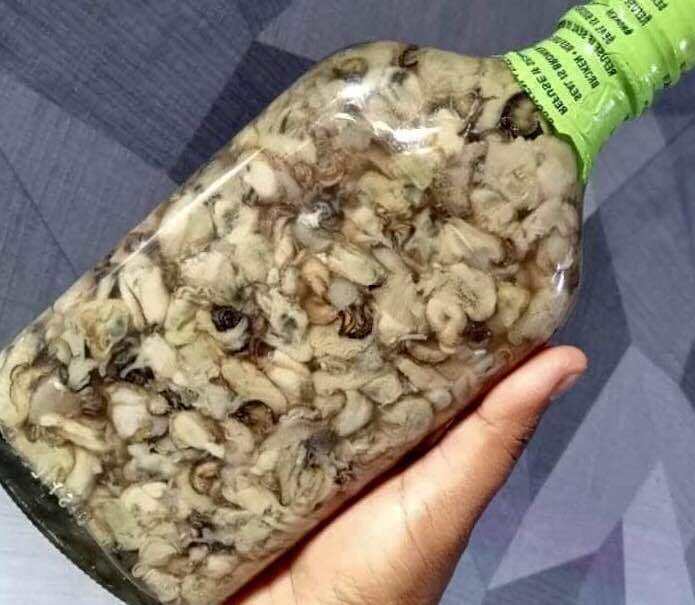 375 ML Fermented Osyter rock, From Roxas City Talaba ,Sisi Malinis ...