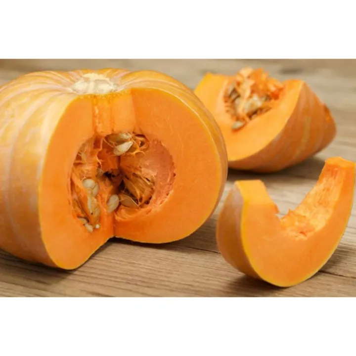 100 biji benih waloh labu kuning manis pulen unggulan | Lazada Indonesia