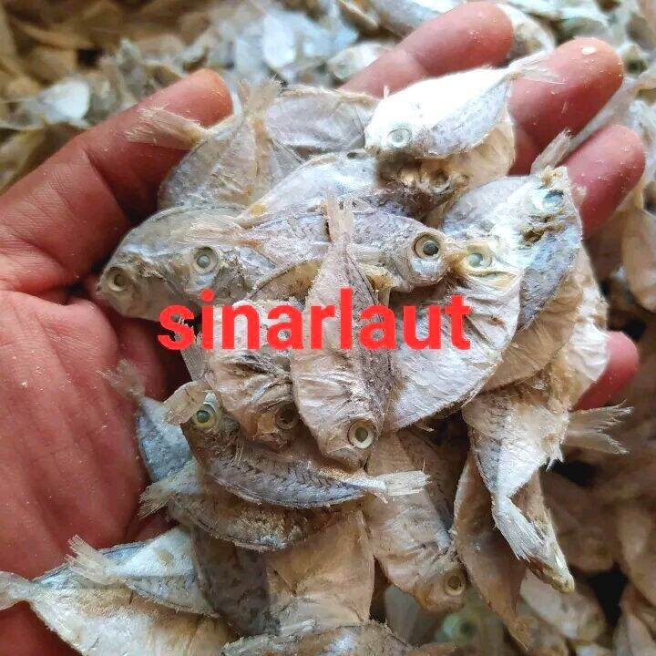 ikan asin petek kecil/pirik 250gram/500gram/1kg | Lazada Indonesia
