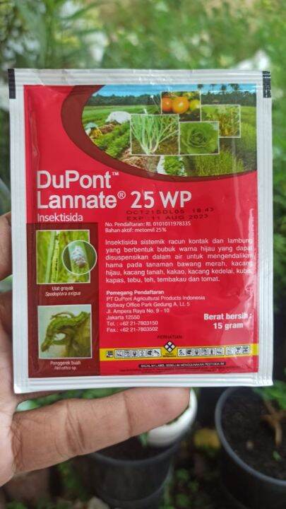 Insektisida Dupont Lannate 25WP 15 gram | Lazada Indonesia