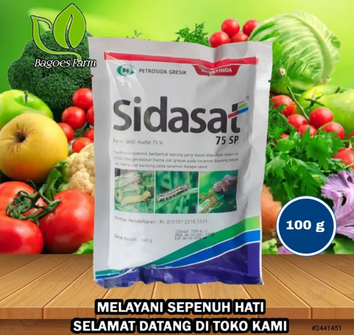 INSEKTISIDA SIDASAT 75 SP, 100g/ Bahan Aktif: Asefat 75%, atasi ulat ...