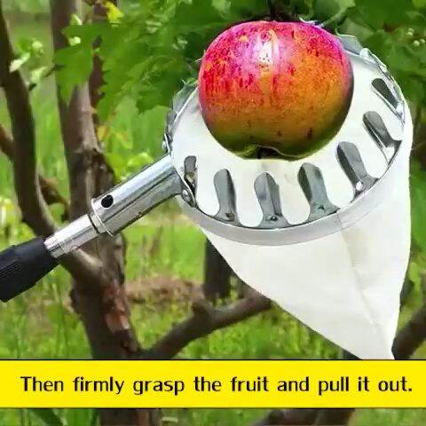 READY STOCK Fruit picker Fruit picker with adjustable long pole Fruit ...