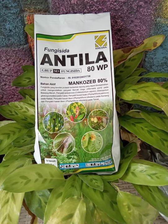 fungisida ANTILA 80WP 1kg | Lazada Indonesia