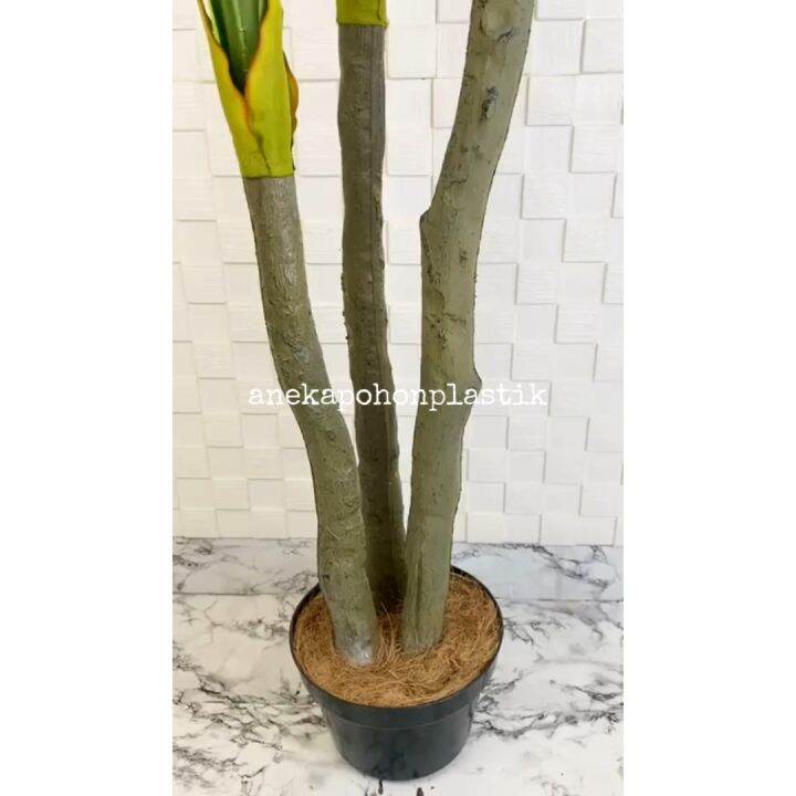 Pohon Daun Pandan Bali Tepi Kuning X3 T180 Latex Artificial Pot Dasar ...