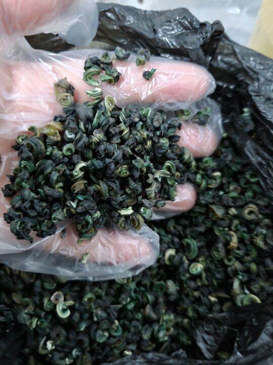 Nigerian Periwinkle (dried sea snails without shell) 50g/pack | Lazada