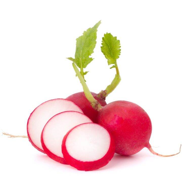 แรดิชสด 1kgเรดแรดิช🍒 เรดิช(Radish) หัวผักกาดแดงหรือหัวไชเท้าแดง (ผิวแดง ...