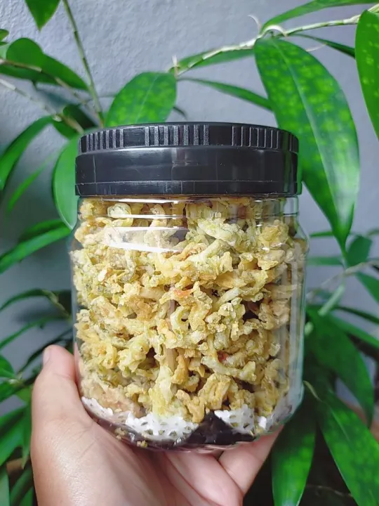 PERIA CRISPY CRUNCHY ORIGINAL 🌸 | Lazada