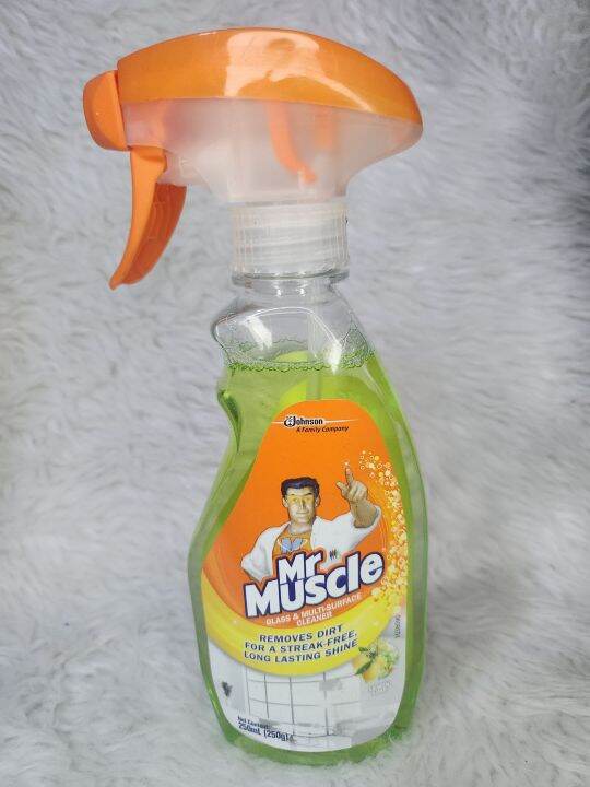 JOHNSON MR MUSCLE GLASS MULTI CLEANER 250G | Lazada PH