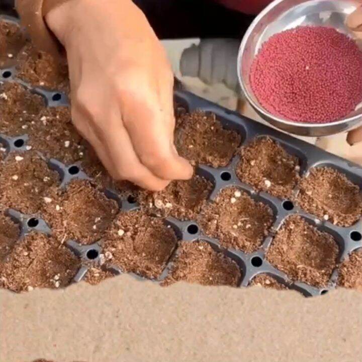 Seedling Tray Seed Germination 32/50/72/105/128 Well Reusable Plant ...