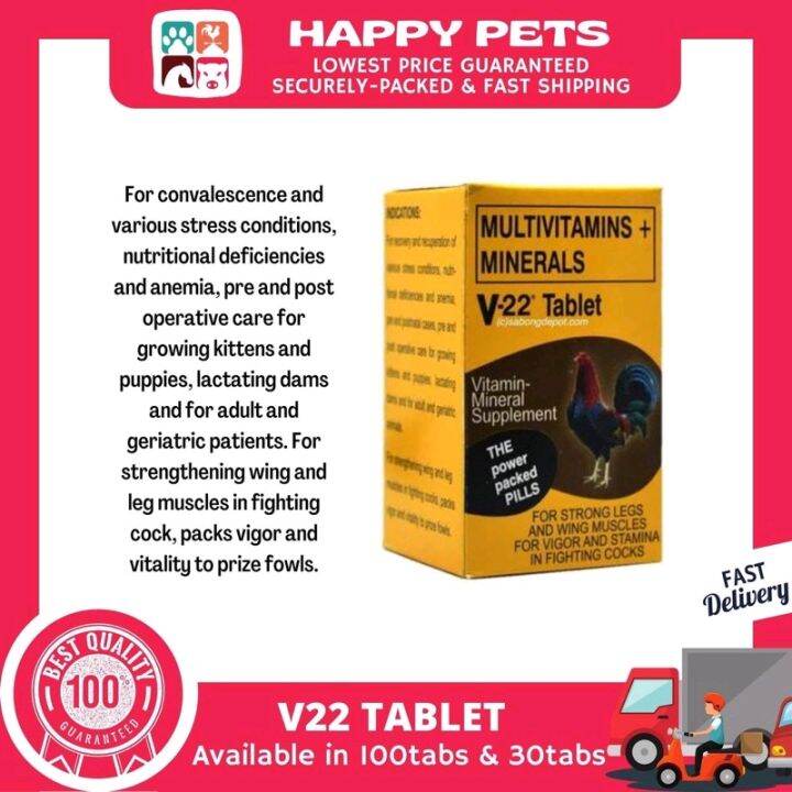 V22 Tablet x100 | Lazada PH