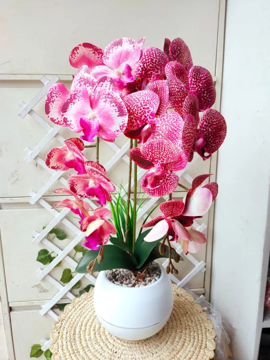 bunga anggrek latex jumbo kombinasi dua warna bisa pilih sendiri warna ...