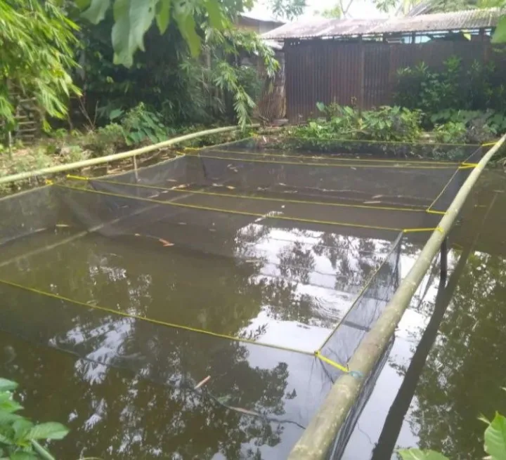 keramba waring ikan 1.2m x 4m x 1m kerambah jaring apung kolam ikan ...